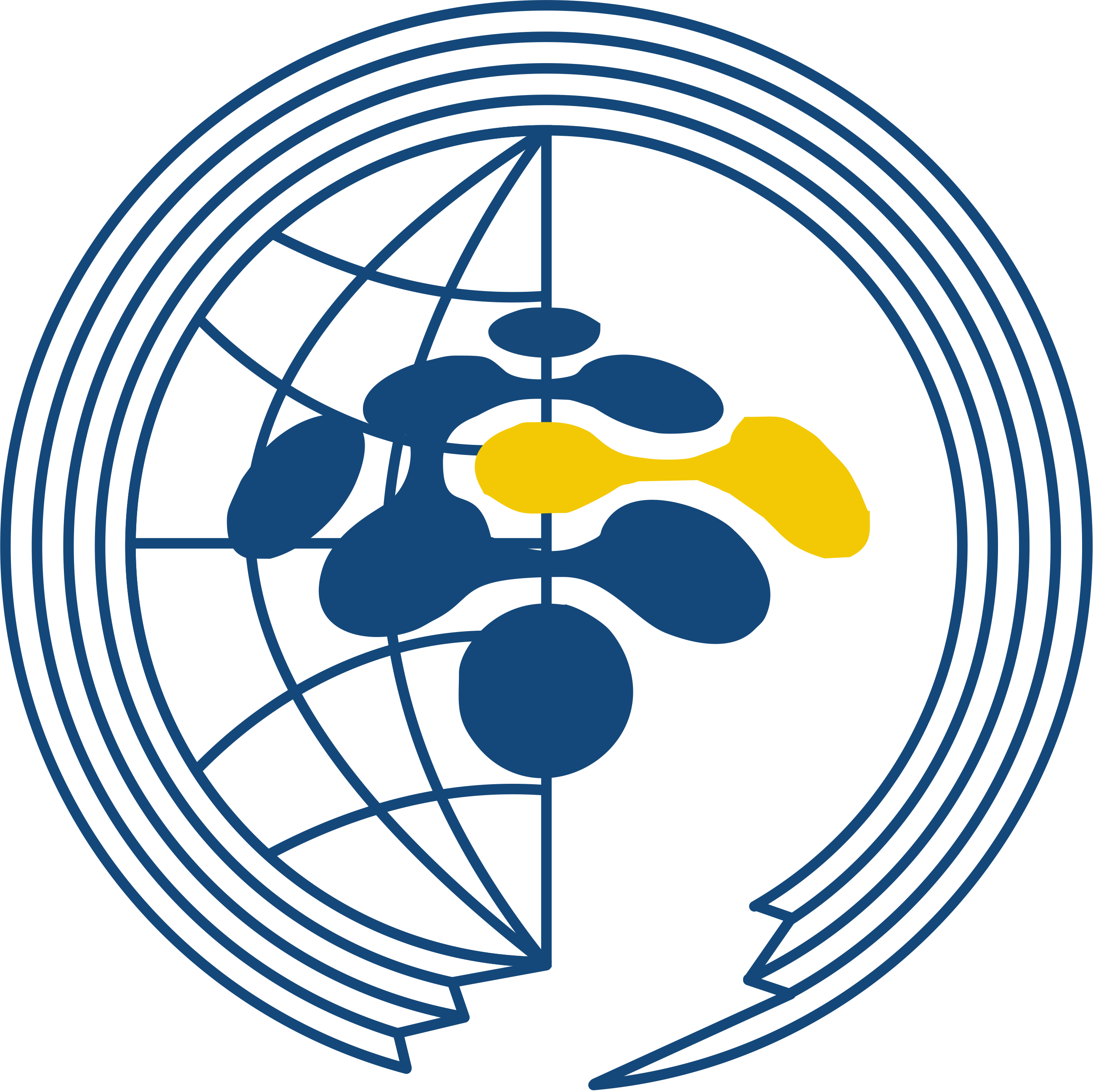 PICO s Annual Report PICO